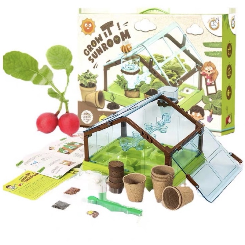 Jual mainan menanam tumbuhan mini house eksperimen diy plant | Shopee ...