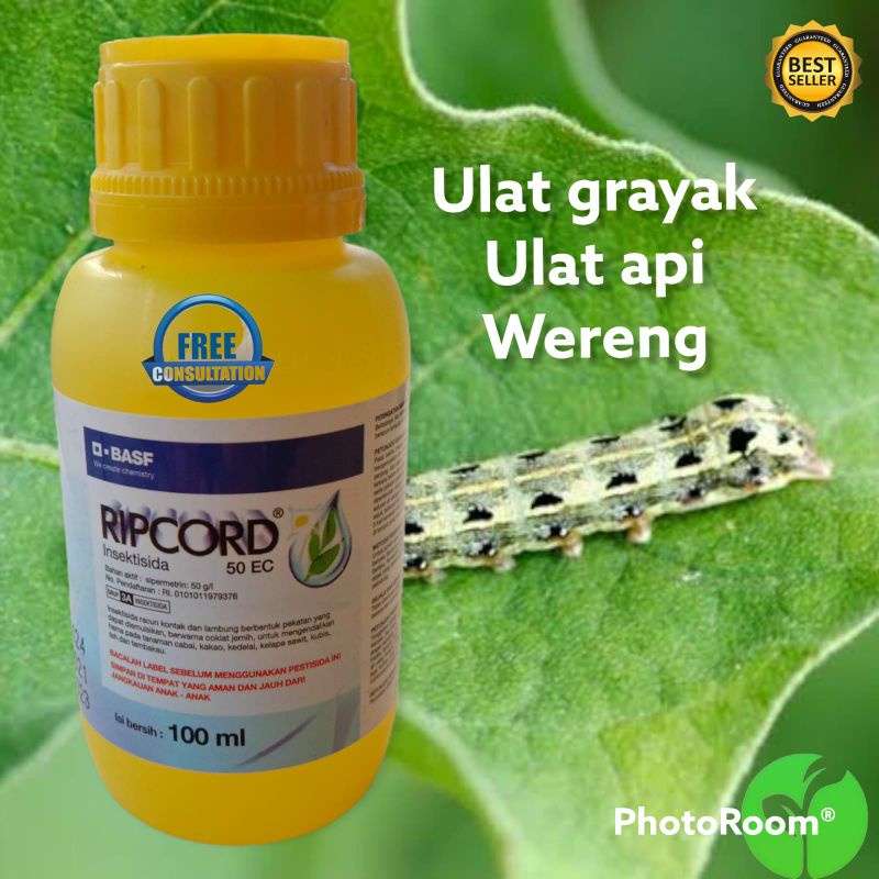 Jual INSEKTISIDA RIPCORD 50 EC 100 ML | Shopee Indonesia