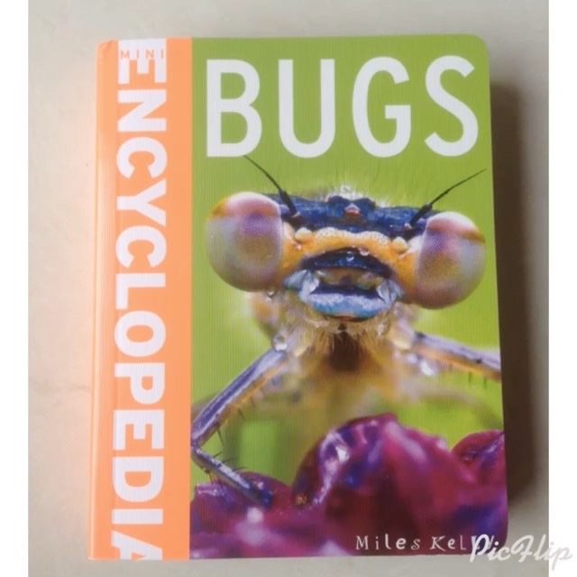 Jual Mini encyclopedia bugs | Shopee Indonesia