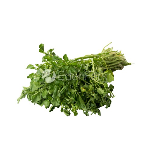 Jual Sayur Selada Air Segar per Ikat | Shopee Indonesia