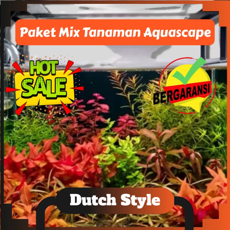 Jual Paket Mix 100 Batang Tanaman Aquascape - Paket Tanaman Aquascape ... Jual Paket Mix 100 Batang Tanaman Aquascape - Paket Tanaman Aquascape ...