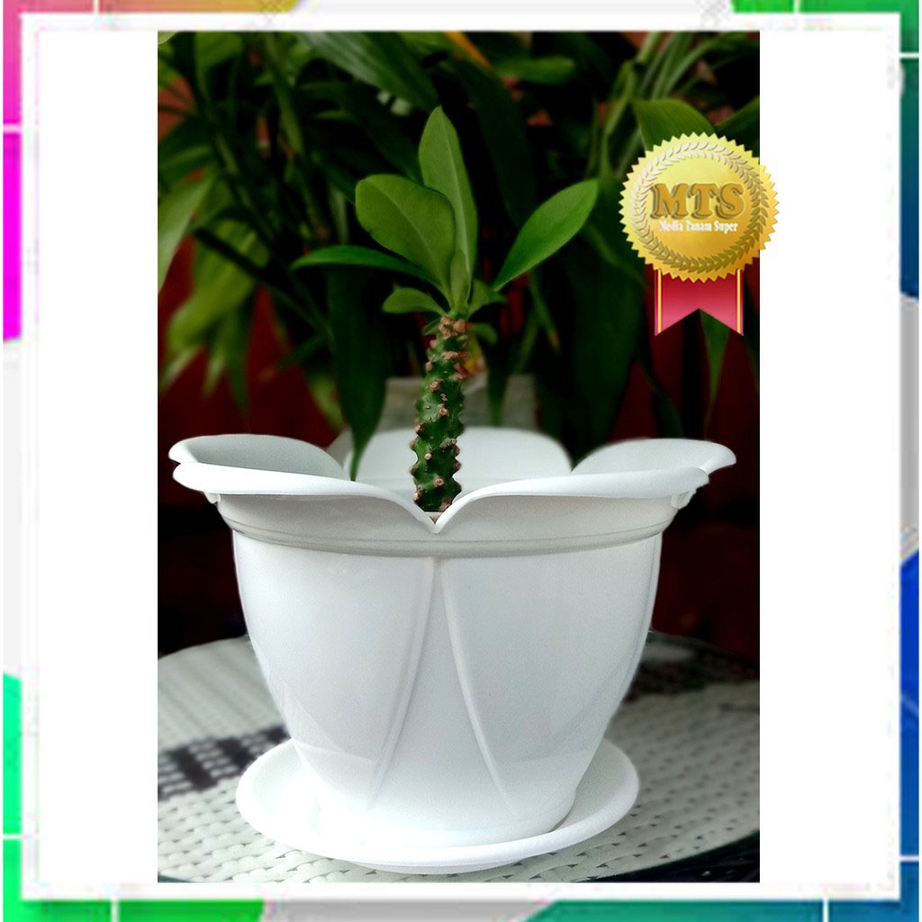 Jual Pot Bunga Flora + Tatakan Set Putih Murah Plastik Tebal Unik ...