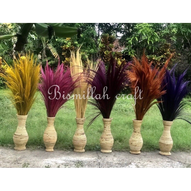 Jual RAYUNG PAMPAS KERING DEKORASI WARNA RUSTIC DEKORASI WEDDING ...
