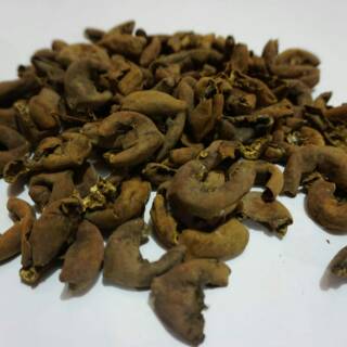 Jual JOLAWE 500gr Untuk Zat Warna Alami Indonesia|Shopee Indonesia