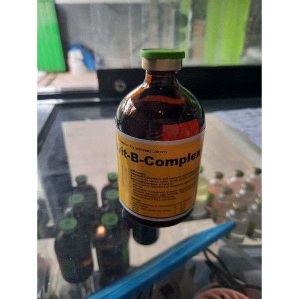 Harga Introvit-B-Complex Terbaru Agustus 2024 |BigGo Indonesia