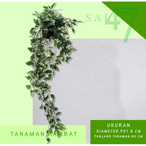 Jual Tanaman rambat gantung tiruan dalam pot / tanaman artificial ...