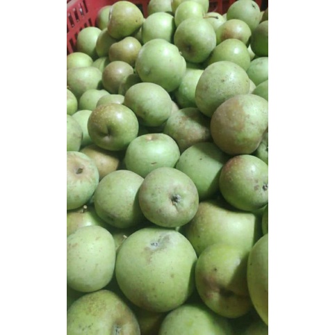 Jual Apel Manalagi Mini/Apel Cherry manis/Apel jus Indonesia|Shopee ...