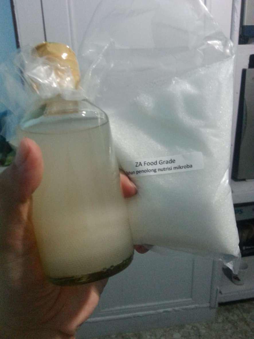 BIBIT NATA DE COCO, STARTER NATA decoco || bakteri Acetobacter Xylinum ...