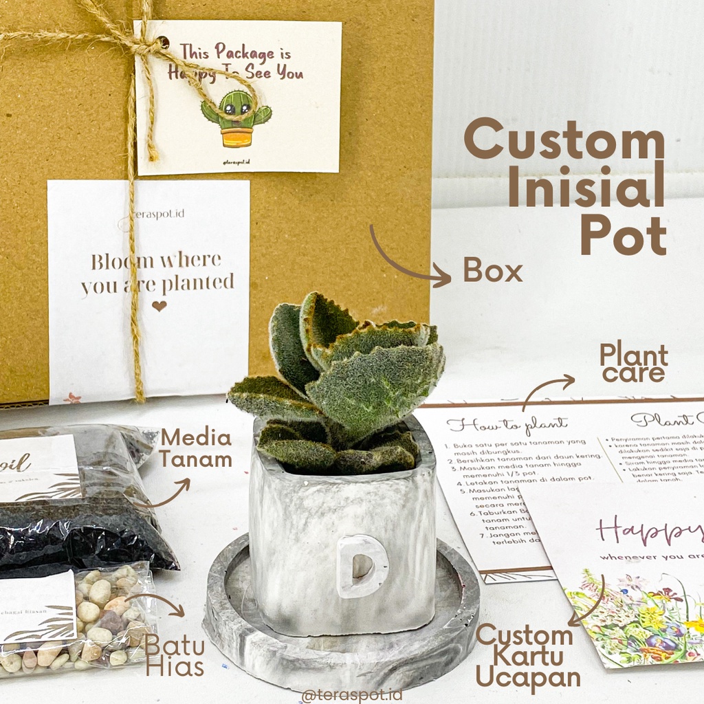 Jual Hadiah Pot Kaktus Sukulen Paket Planting Kit - Custom Inisial dan ...