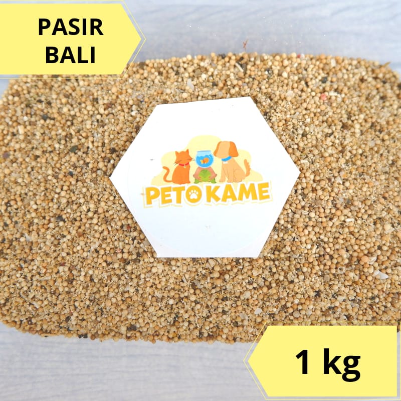 Jual Pasir Bali 1 KG Untuk Aquarium dan Aquascape | Shopee Indonesia