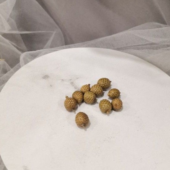 Jual Buah Biji Rotan / biji kering / Properti Foto / kotak mahar ...