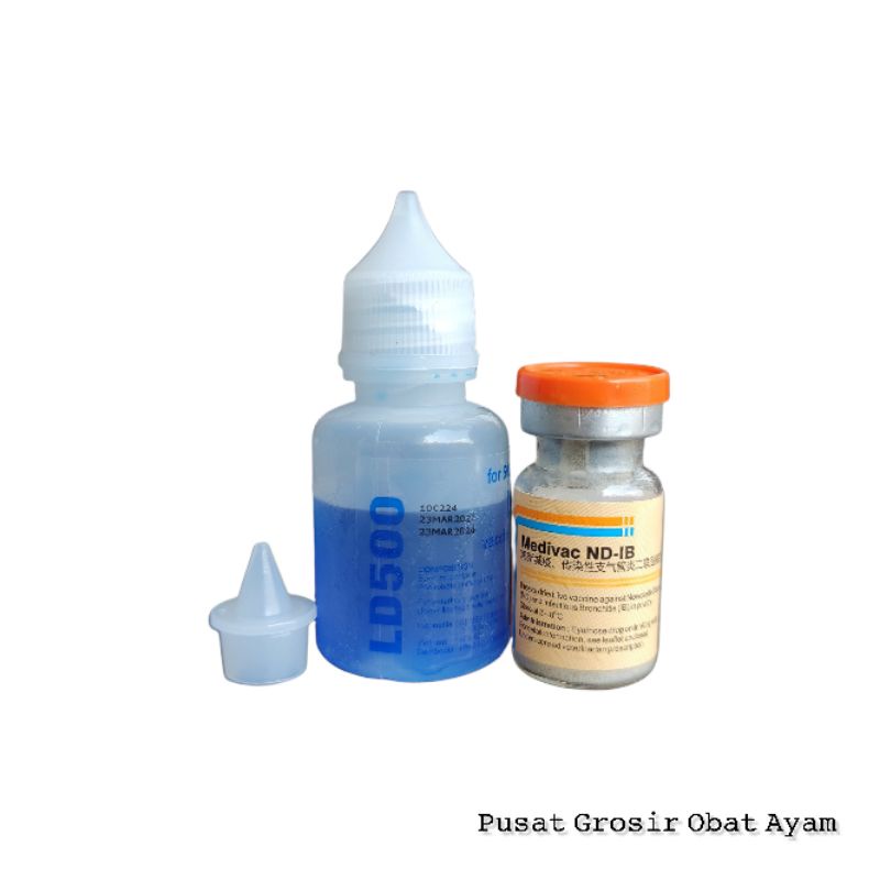 Jual VAKSIN MEDIVAC ND IB LD 500 mencegah tetelo dan infeksi saluran ... Jual VAKSIN MEDIVAC ND IB LD 500 mencegah tetelo dan infeksi saluran ...