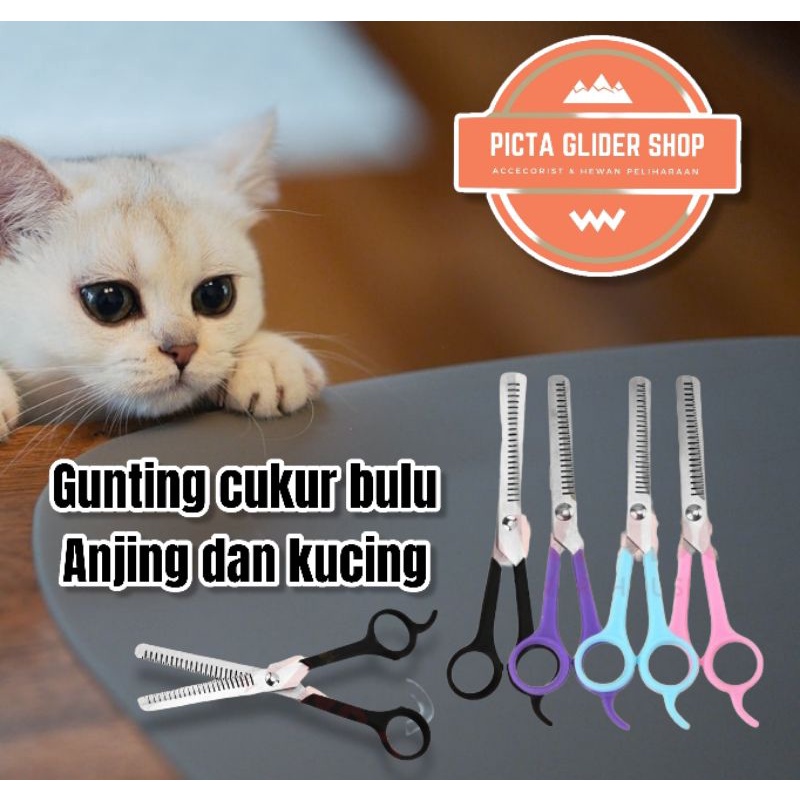 Jual gunting grooming gunting potong bulu kucing kelinci dan anjing ...