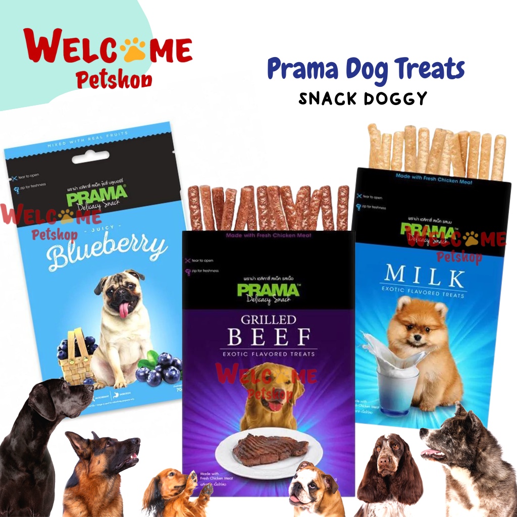 Jual Prama Dog Treats 70 GR Makanan Snack Anjing Kering Daging Buah ...