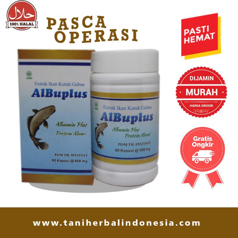 Jual ikan gabus ikan kutuk SERBUK Albu Plus Albuplus albumin ikan kolagen ekstrak albumin ...