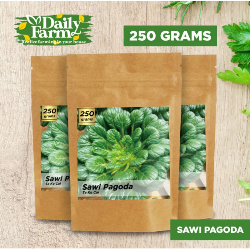 Jual Benih Sayur Pagoda Takecai - Bibit Sawi Pagoda Ta Ke Cai ( 250 ...