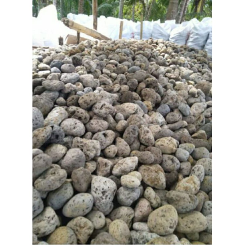 Jual Batu Apung Pumice Stone Batu Pumice super uk 3-4 cm media filter ...