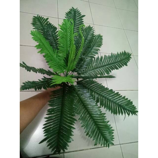 Jual Daun pakis besar x18 variasi ( hijau tua ) Indonesia|Shopee Indonesia