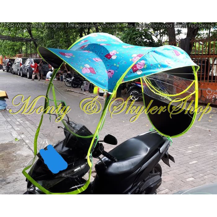 Jual Kanopi Motor Canopy Motor Payung Motor Jas Hujan Motor | Shopee ...