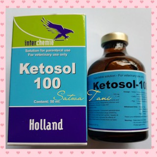 Jual Ketosol 100 anti radang dan demam (asli) | Shopee Indonesia