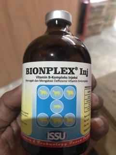 Jual Sanbe Farma / B Sanplex - Injeksi Vit B Kompleks - 100 ml | Shopee ...