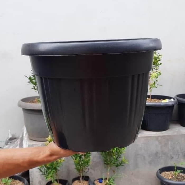 Jual pot bunga hitam kuping ukuran 30 cm pot bunga plastik | Shopee ...