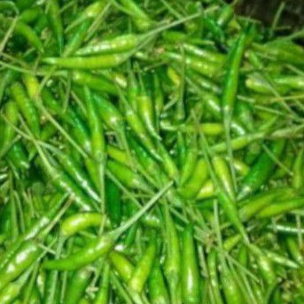 Jual Cabe Rawit Ijo caplak | Shopee Indonesia