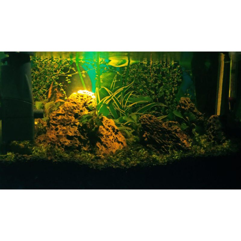 Jual Paket Komplit Aquascape Murah Tinggal Scape (Substrat, LED, Filter ...