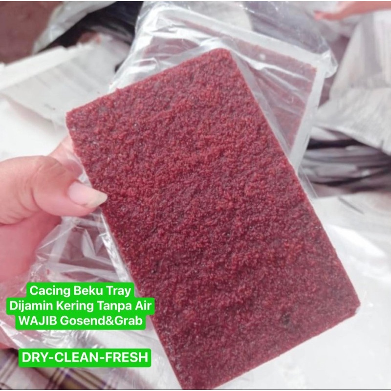 Jual Pakan Harian Ikan Hias Cacing Beku Tray Dijamin Kering Tanpa Air ...