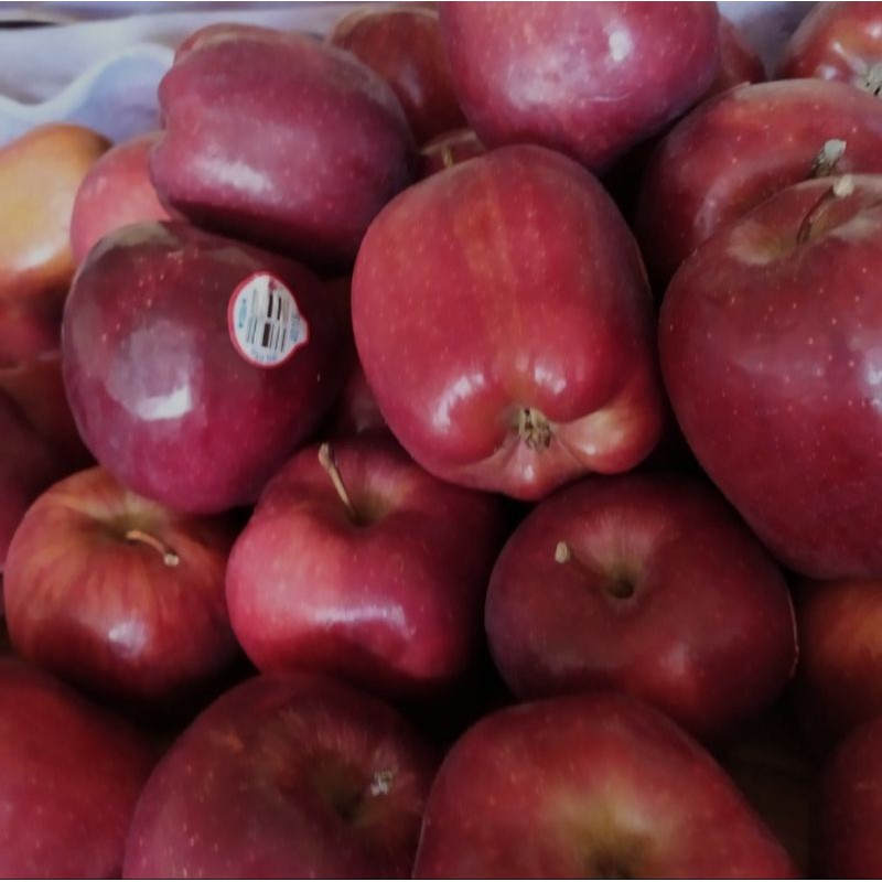 Jual buah apel merah 1 kg | Shopee Indonesia