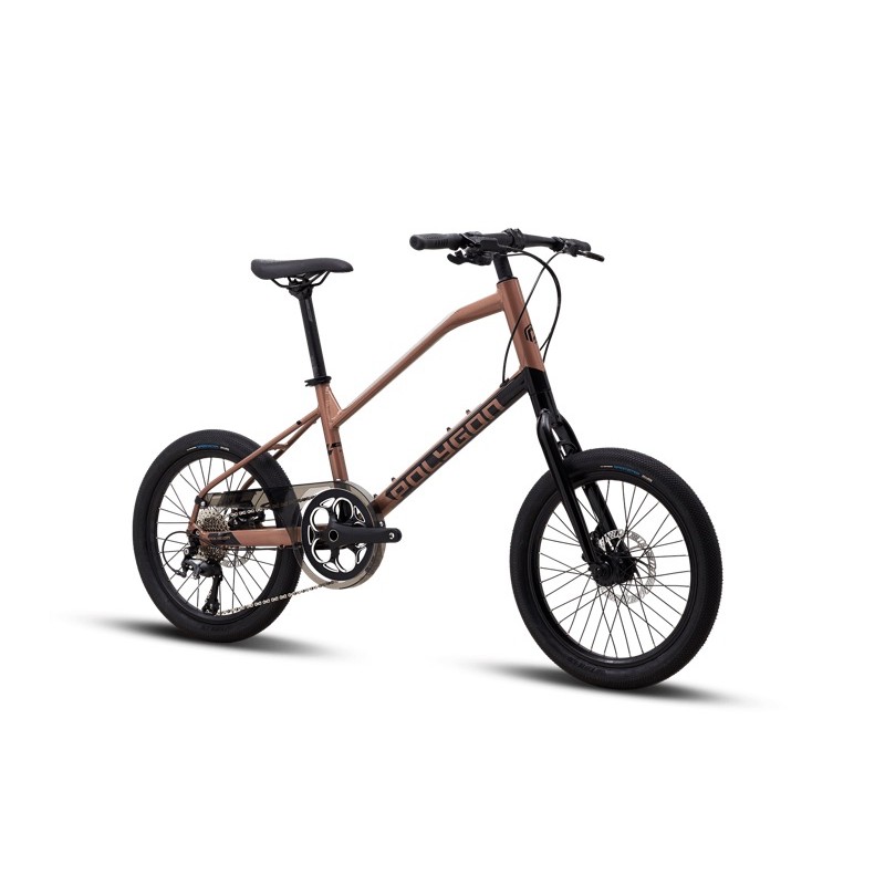 Jual Sepeda Minivelo 20 POLYGON ZETA 2 | Shopee Indonesia