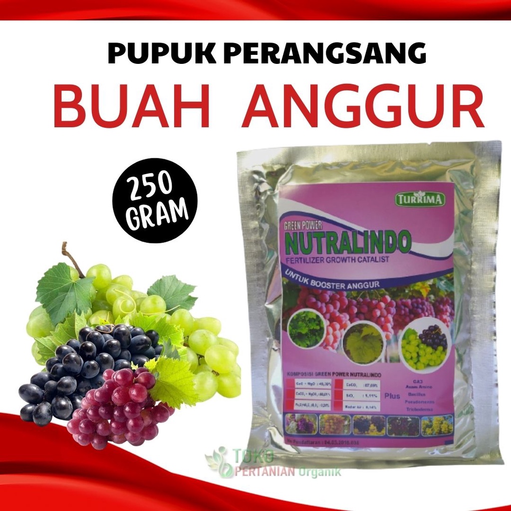 Jual Pupuk Organik Boster anggur cepat berbuah, Pelebat Pohon anggur ...