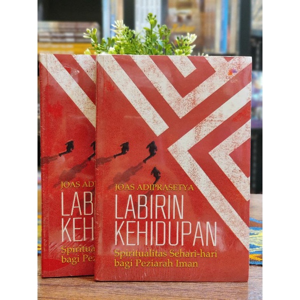 Jual BUKU ROHANI LABIRIN KEHIDUPAN -JOAS ADIPRASETYA | Shopee Indonesia