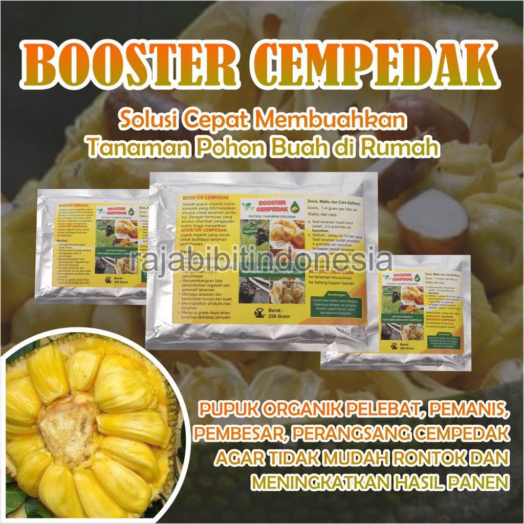 Jual Pupuk Booster Organik Cempedak Agar Cepat Berbuah Lebat, Pupuk Booster Pemicu Dan Penyubur ...