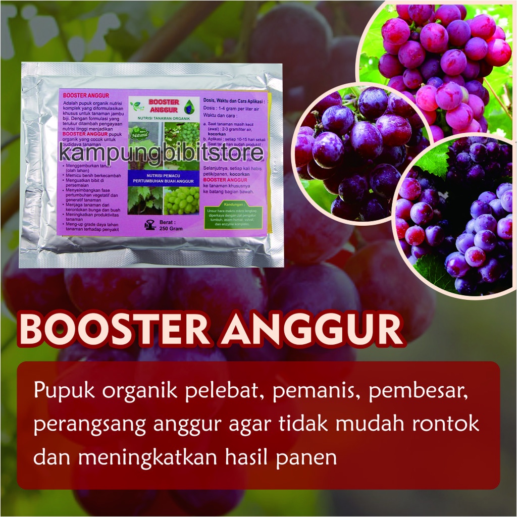 Jual Pupuk Booster Anggur Perangsang Buah Ampuh Agar Cepat Berbuah Lebat | Shopee Indonesia