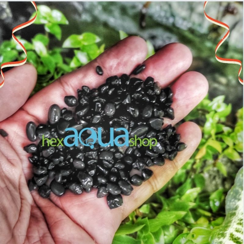 Jual Pasir Alor Batu koral Alor sikat flores Hitam substrat akuarium 1KG | Shopee Indonesia