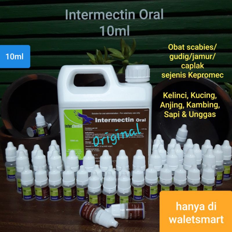 Jual Intermectin Oral 10ml & 5ml sejenis Kepromec Obat Scabies Jamur ...