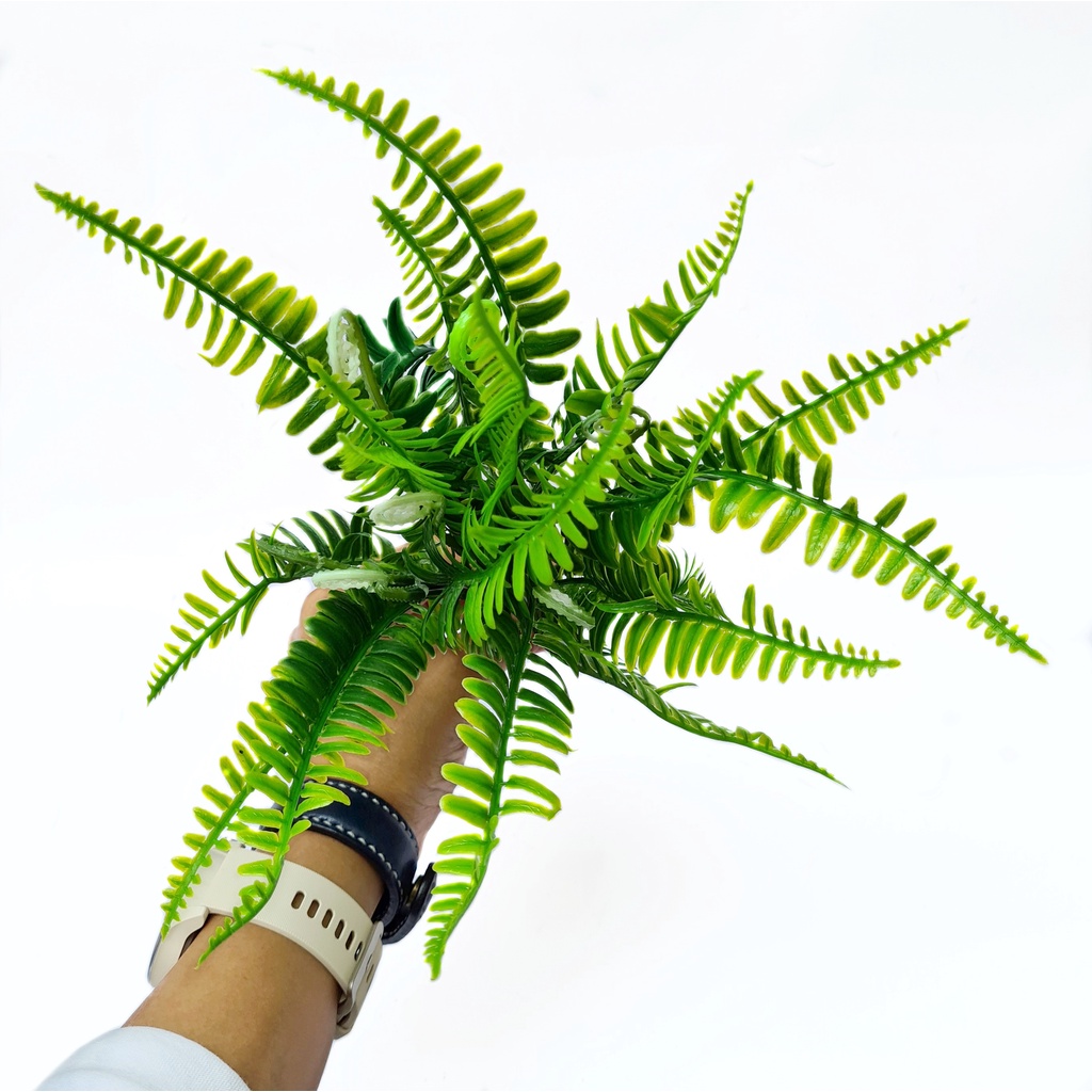 Jual AL26 Daun Paku Fern Artificial Tumbuhan Pakis Plastik Dekorasi ...