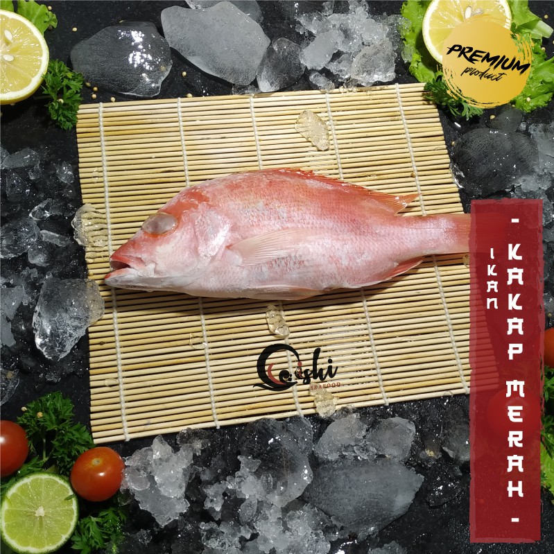 Ikan Kakap Merah Premium Segar Size Kecil 1 ekor / Pack | Shopee Indonesia