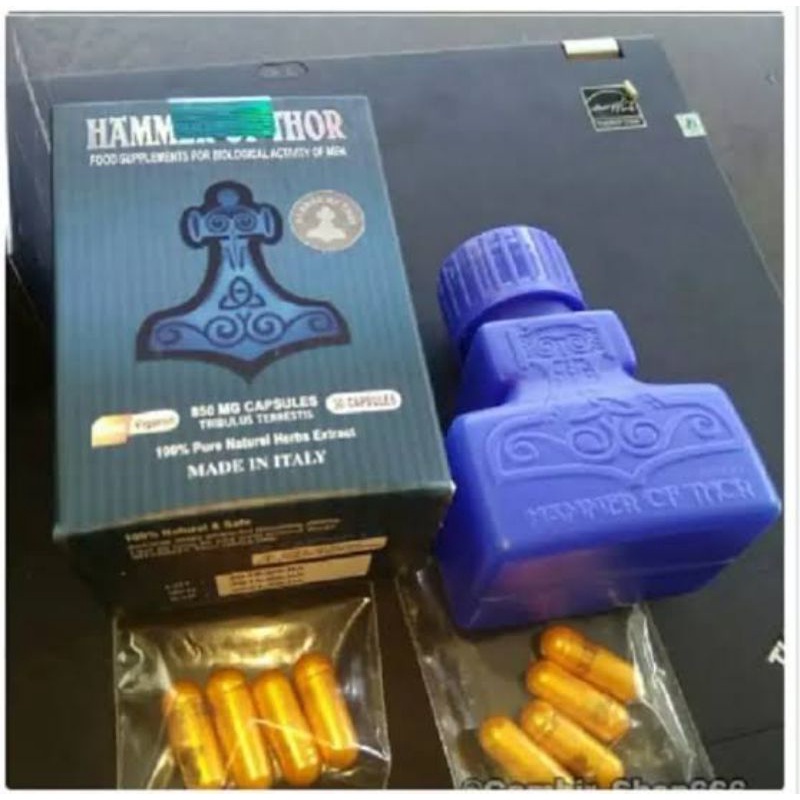 Harga Thor Of Hammer Terbaru November 2023 |BigGo Indonesia