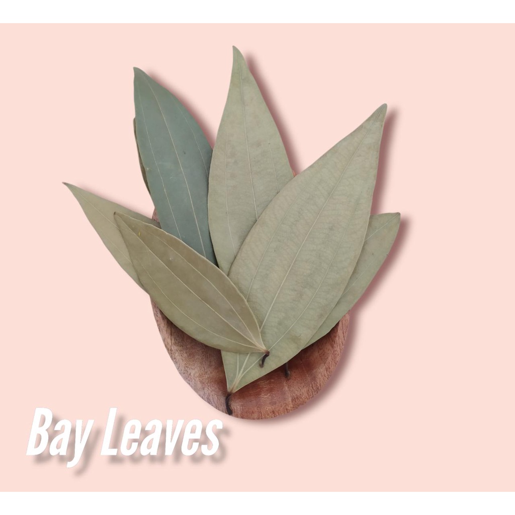Jual Daun Bay Premium / Premium Bay Leaves | Daun Salam India | 1kg Indonesia|Shopee Indonesia