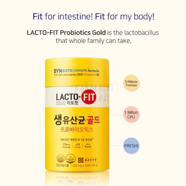 Jual Lactofit Gold Probiotik Vitamin No1 Korea/Multivitamin Korea ...