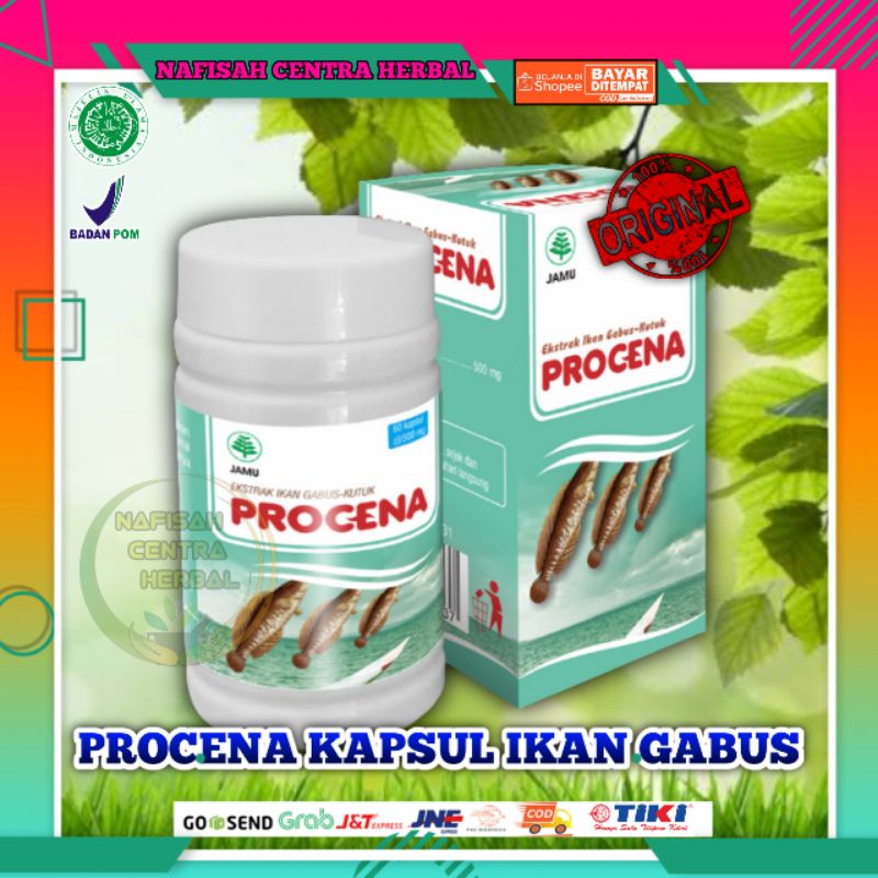 Jual Procena | kapsul ekstrak ikan haruan | Shopee Indonesia