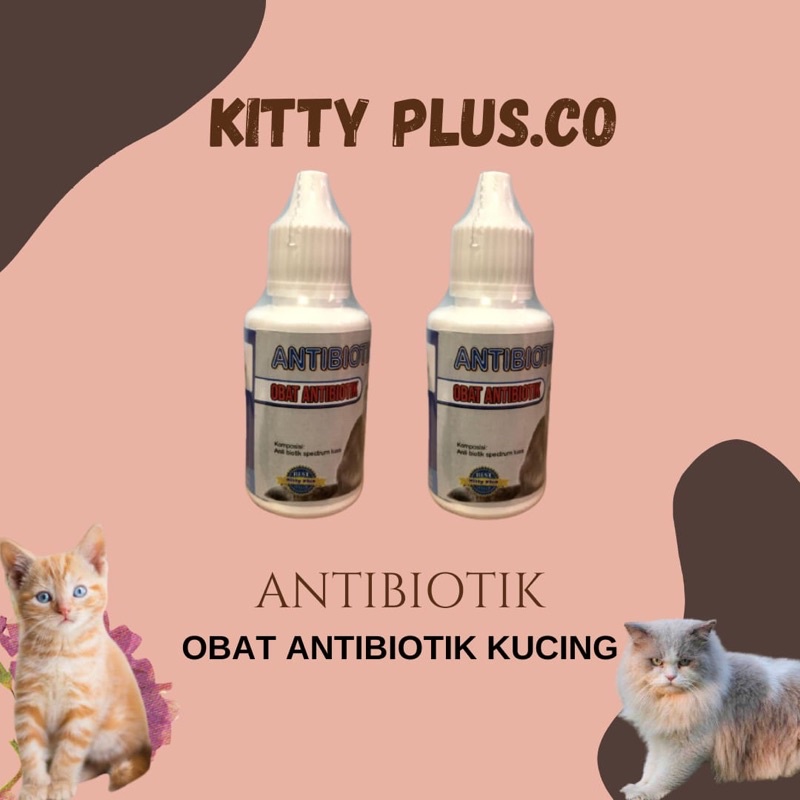 Jual ANTIBIOTIK - Antibiotik Vitamin Kucing KITTY PLUS | Shopee Indonesia