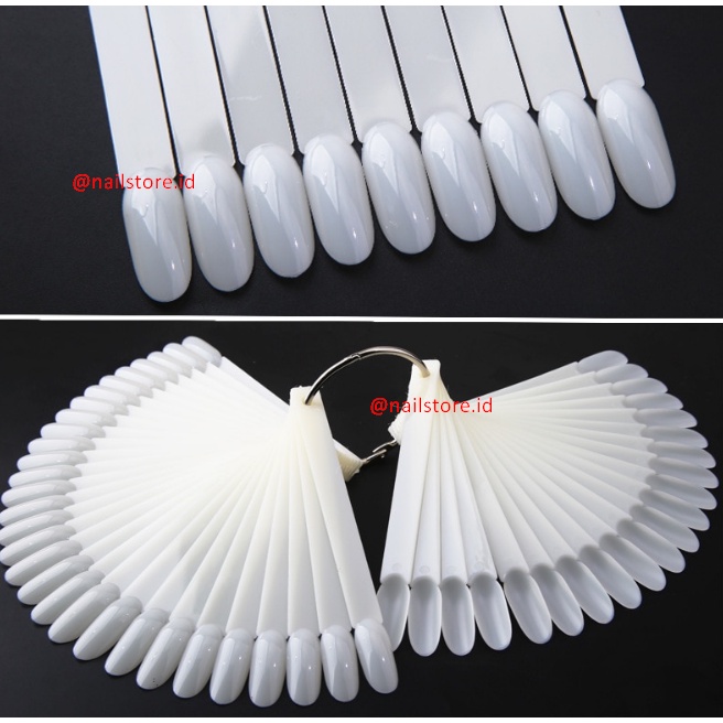 Jual SET OVAL NAIL DISPLAY FAN ISI 50 PCS - nail fan display Nail Color ...