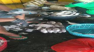 Jual ikan togek asap | Shopee Indonesia