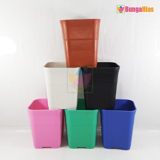 Jual Pot Kotak 8 Cm Sofi Tanaman Hias dan Bunga | Shopee Indonesia