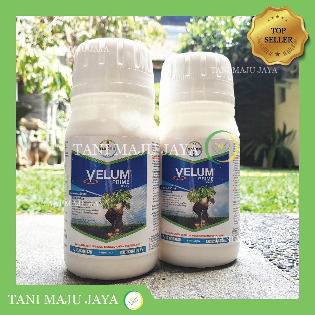 Jual Insektisida Nematoda Velum Prime 400SC 250 ml Indonesia|Shopee ...