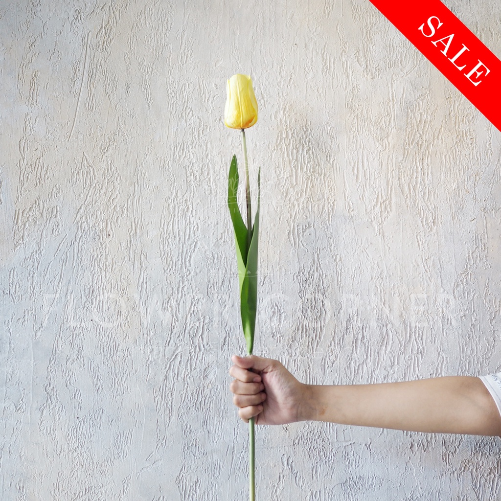 Jual Bunga Artificial Tulip Tangkai Panjang / Long Stem Tulip (B19128 ...