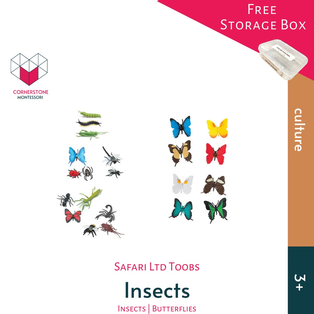 Jual Cornerstone Montessori Safari Ltd Toob Insects Butterflies ...